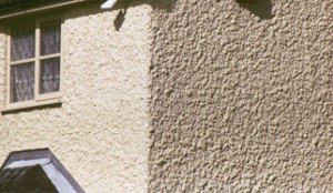 Rough Cast | Treatexwall